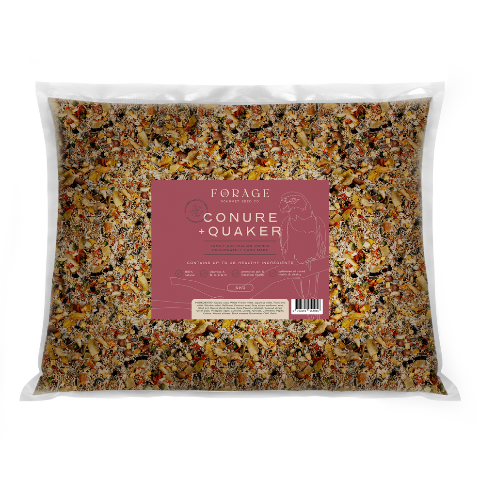 Conure & Quaker – Forage Gourmet Seed