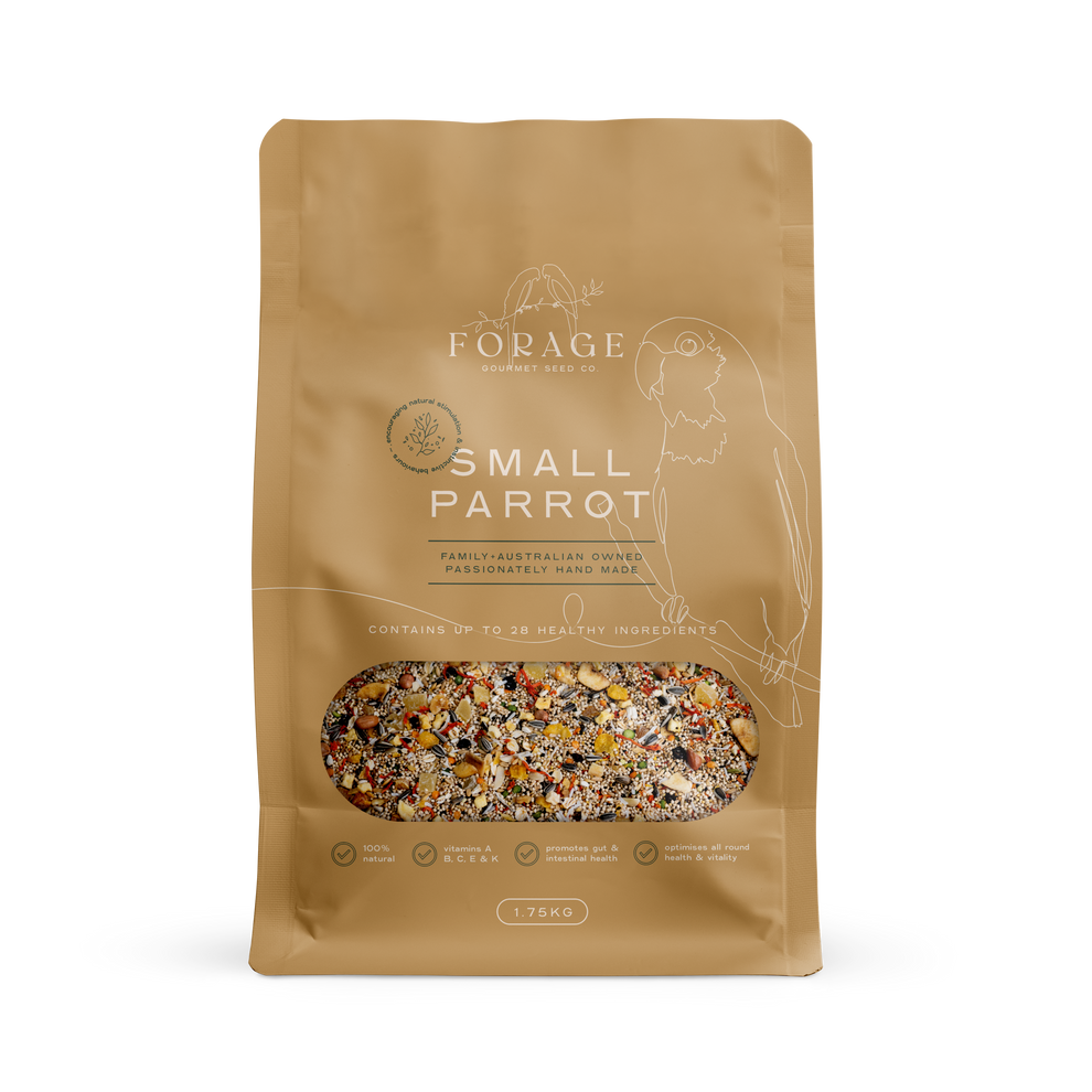Small Parrot – Forage Gourmet Seed